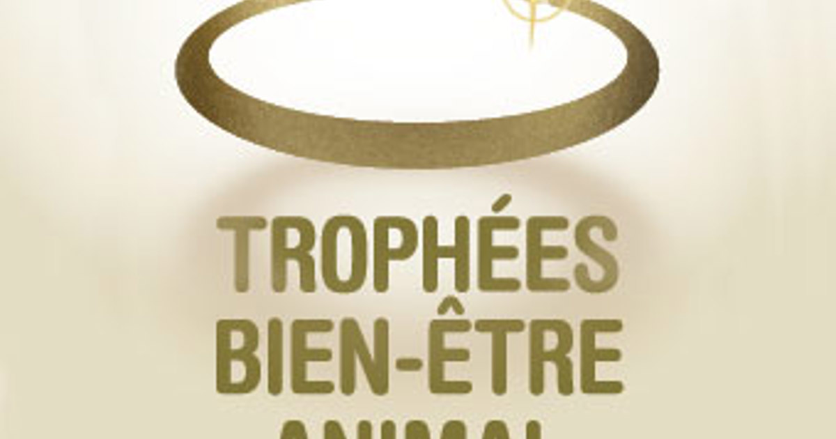 CIWF récompense les acteurs de l’agroalimentaire pour leurs engagements ...