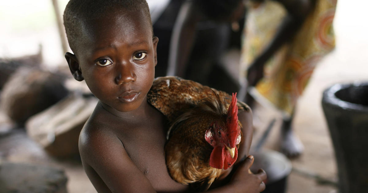 Food Security And Farm Animal Welfare