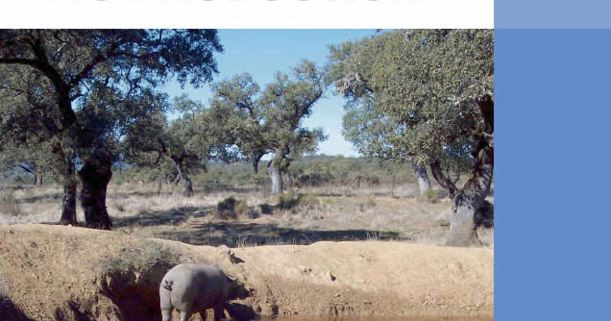 GAP Pigs PowerPoint: Pig Welfare Education
