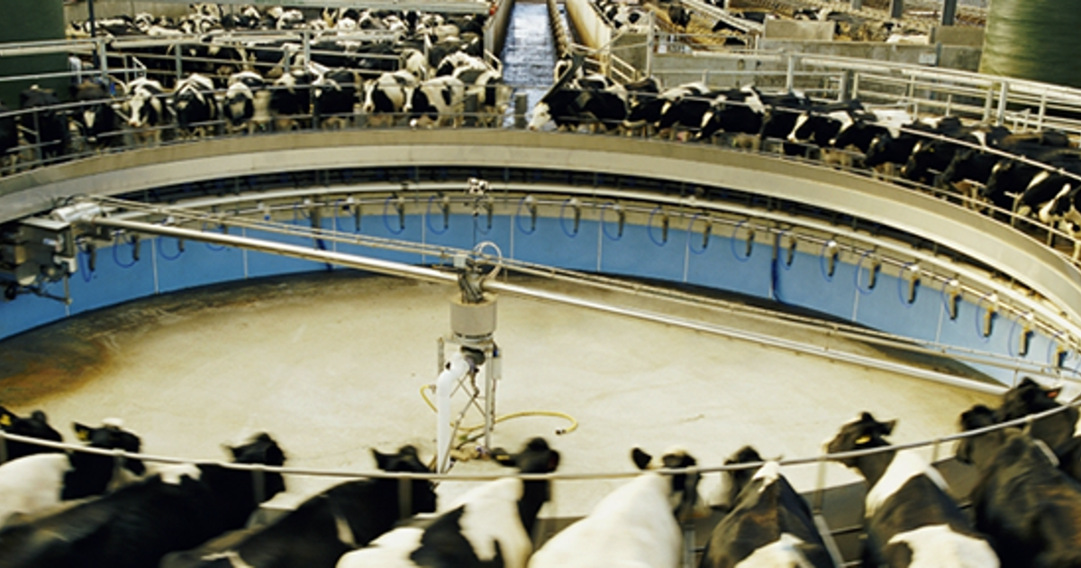 The rise of "mega-farms" in the UK?