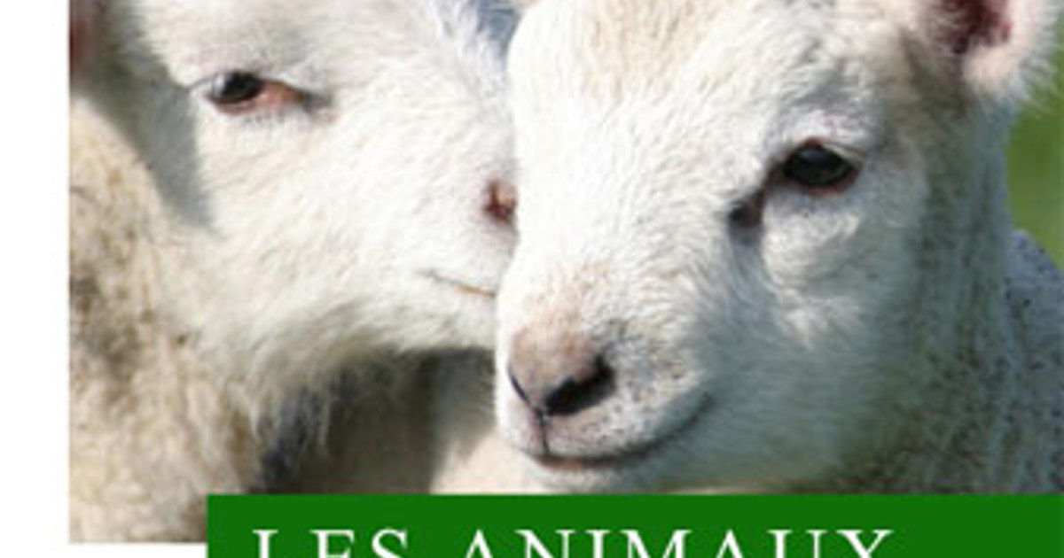 Ouvrage : les animaux en Islam