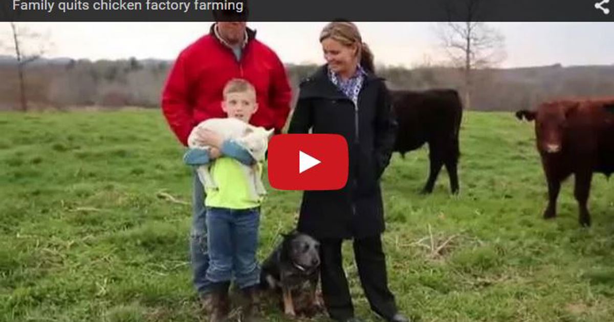 Family quits chicken factory farming due to unfair treatment and ...