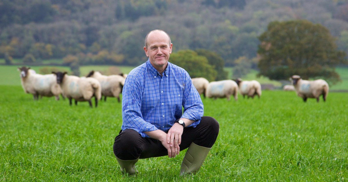 Professor Toby Knowles