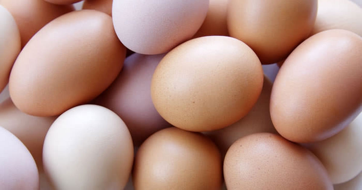 Global cage-free egg production increases