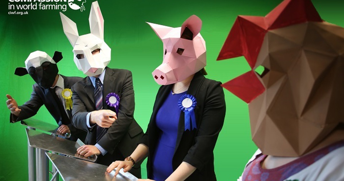 Keep animals in the debate