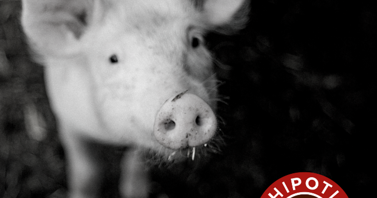 Chipotle Receives An Award for Animal Welfare!