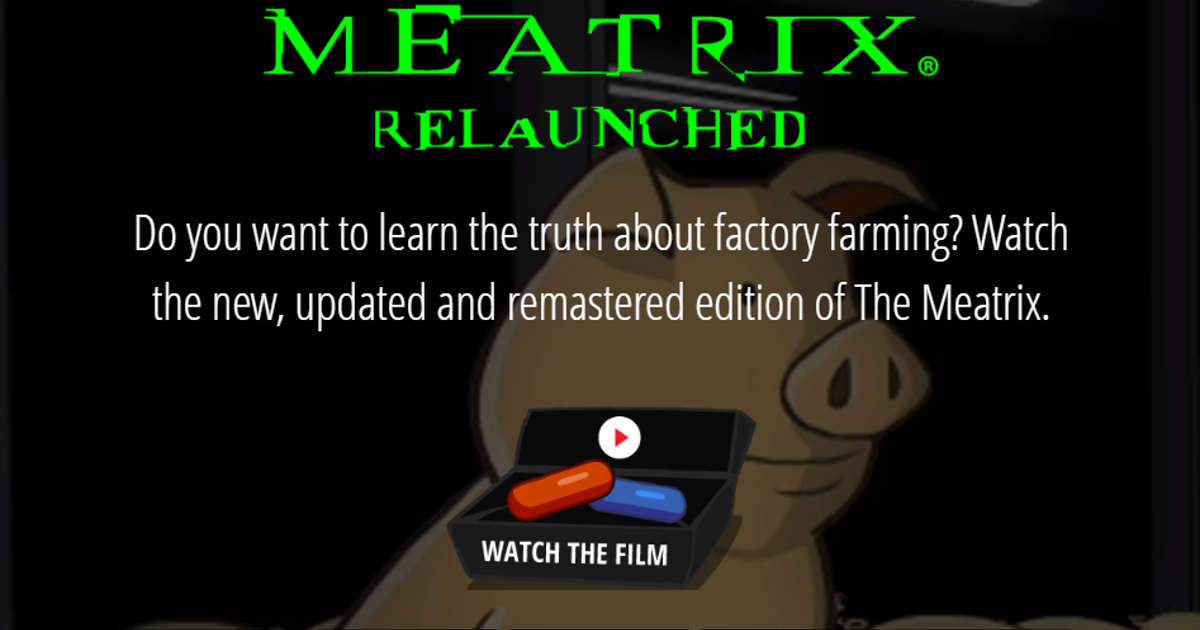 The Meatrix is not lost in translation