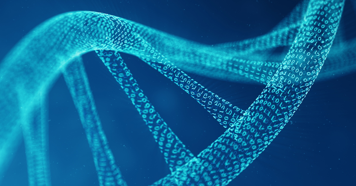 Research on Cloning & Genetic Engineering of Farm Animals
