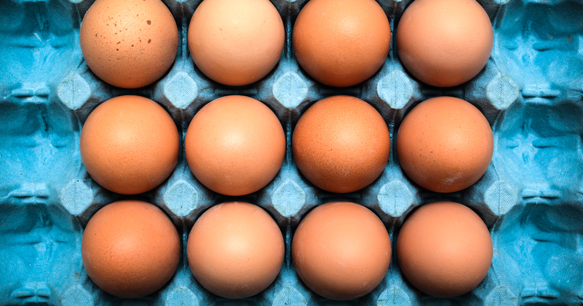 How CIWF is Transforming Access to Cage-Free Eggs in the WIC Program
