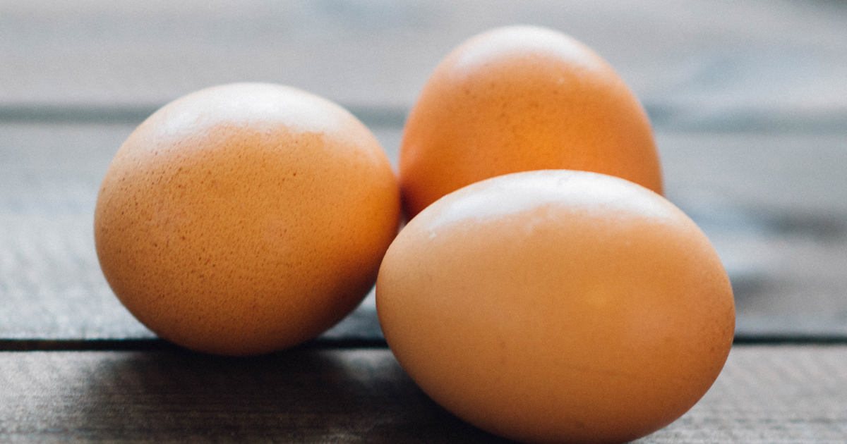 Report Highlights Global Progress in Company Sourcing of Cage-Free Eggs ...