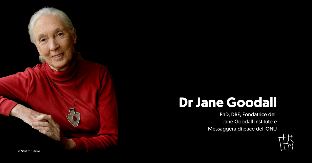 La dottoressa Jane Goodall tra gli oltre 140 scienziati che chiedono ...