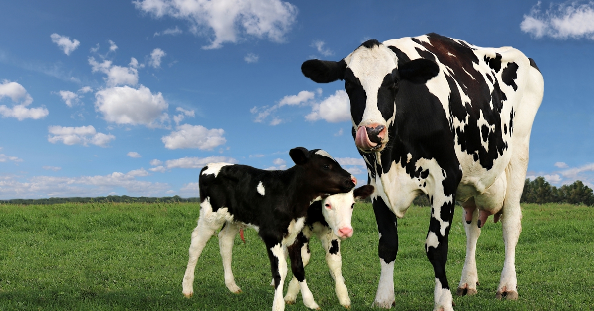 Holistic approach to food system transformation essential