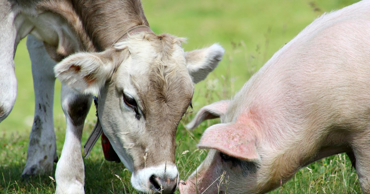 2021: A Review of the Year