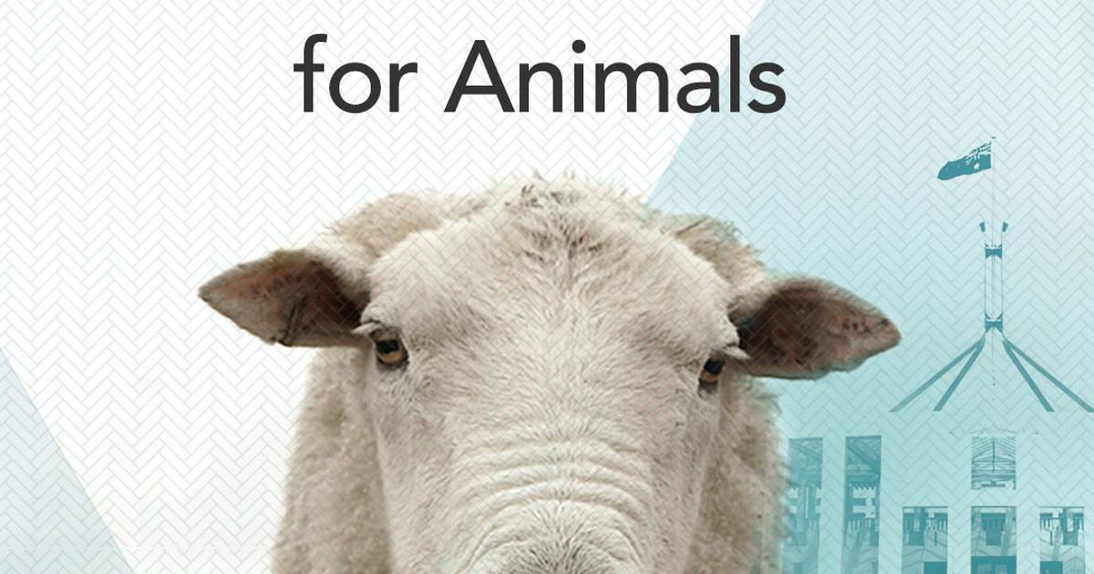 Joining Forces for Australian Animals