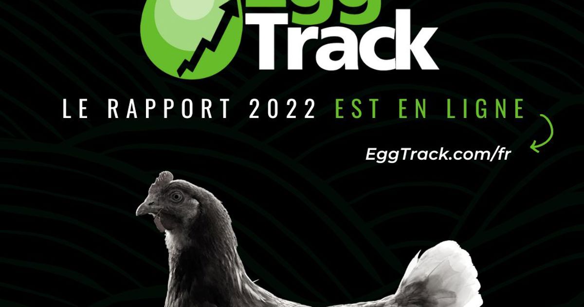 EggTrack 2022 : la transition hors-cage se poursuit au niveau mondial