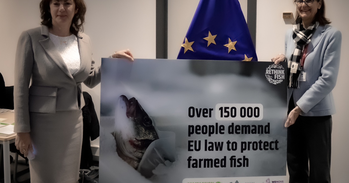 150 000 citoyens demandent instamment à l’UE des normes de protection ...