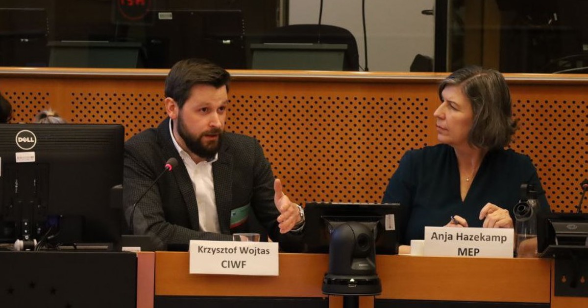 Improving fish welfare key to sustainable aquaculture