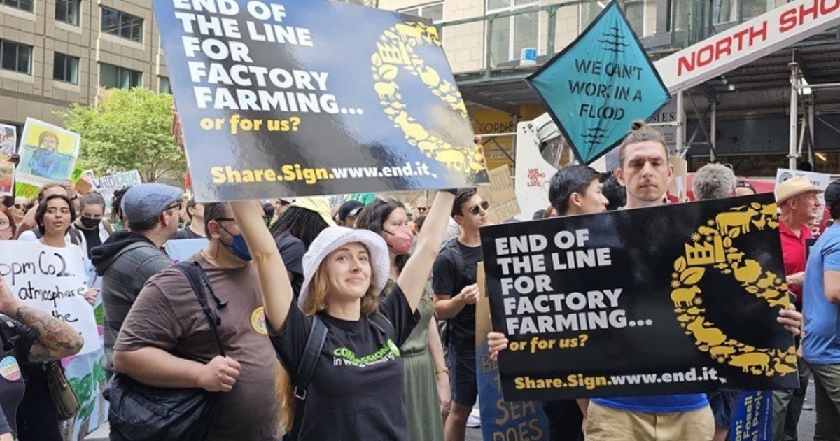 The importance of taking action for farmed animals