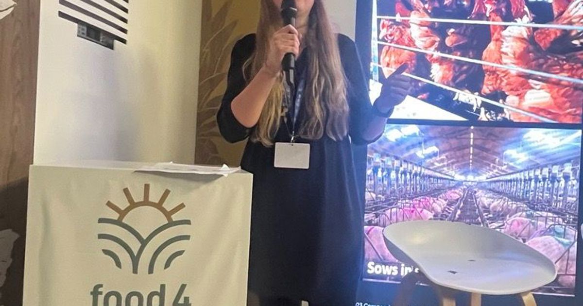 COP28 event highlights crucial role of animal welfare
