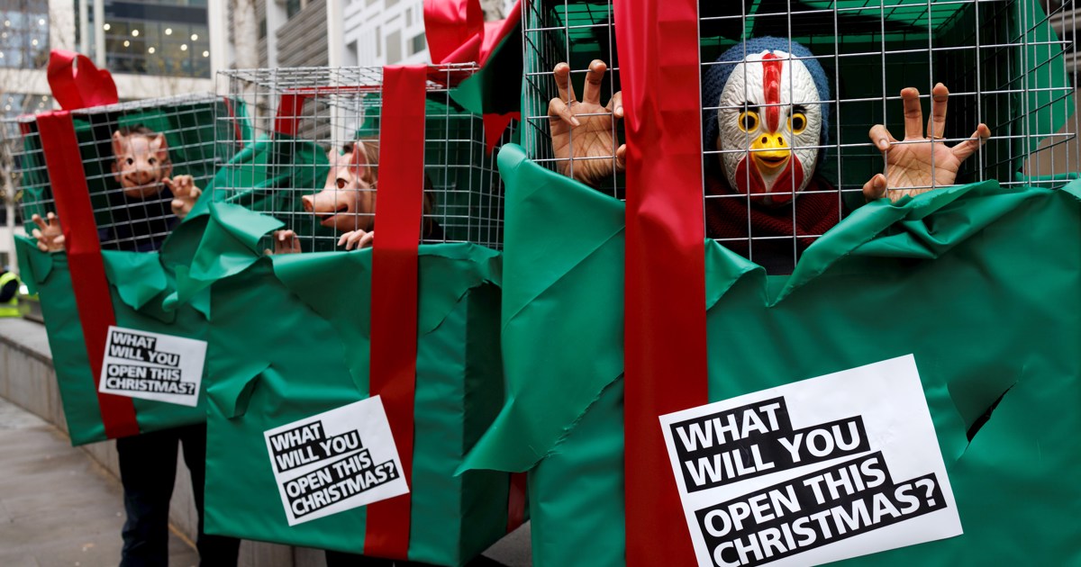UK Government urged to End the Cage Age