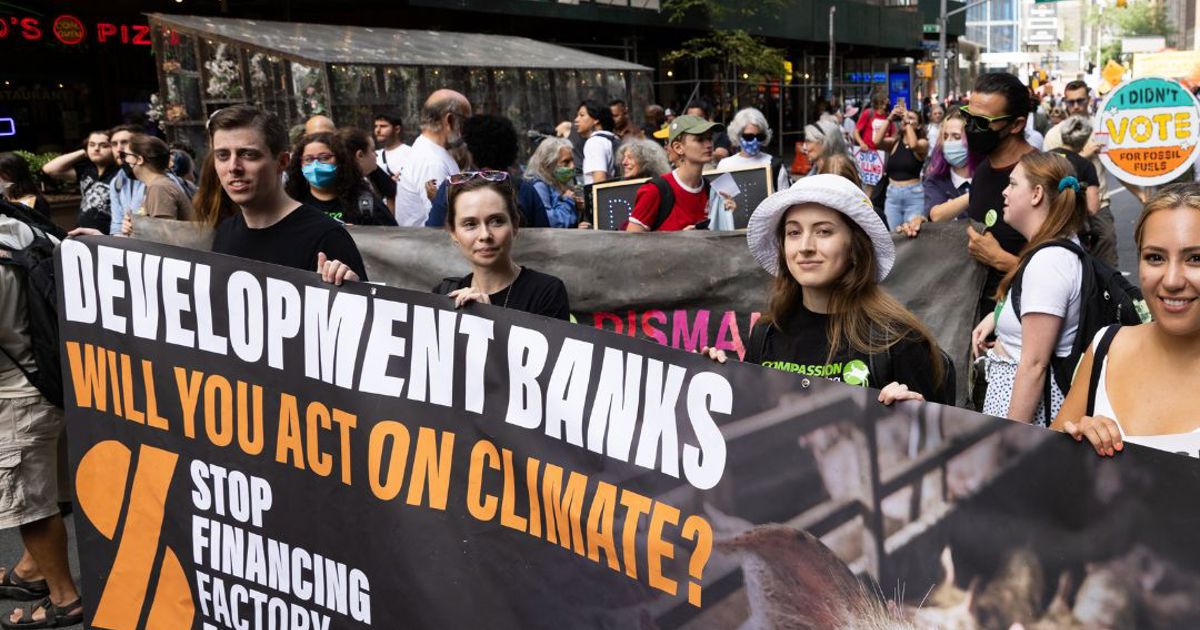 Stopping the financing of factory farming