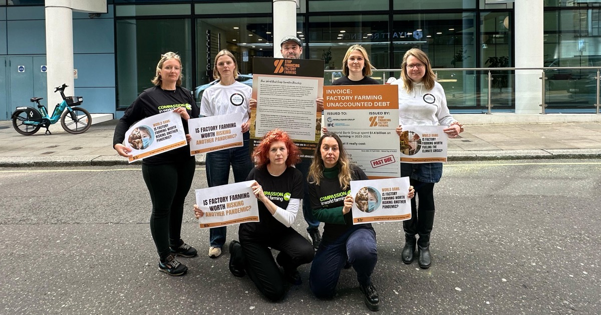 Stop Financing Factory Farms: Compassion joins World Bank protests